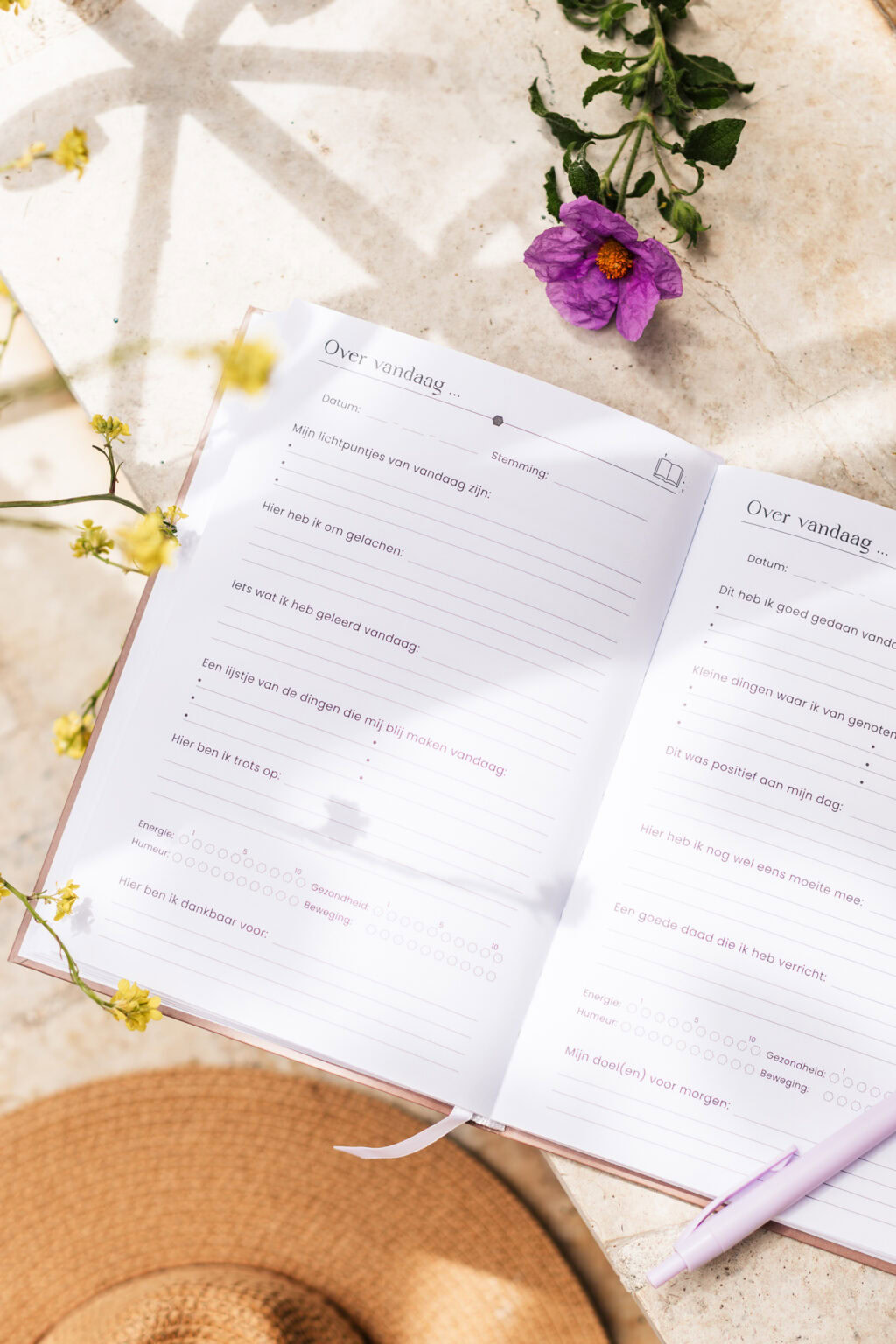 Fyllbooks Een moment per dag dagboek - Roestroze Kopen? ⋆ Invulboekjes.nl
