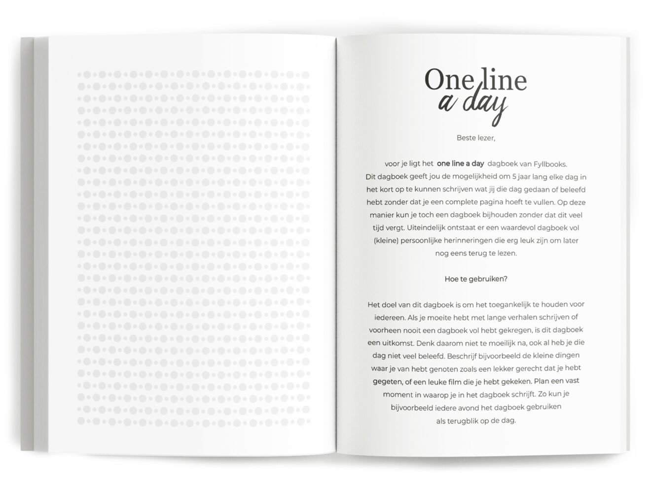 Fyllbooks One Line A Day dagboek - Beige Kopen? ⋆ Invulboekjes.nl