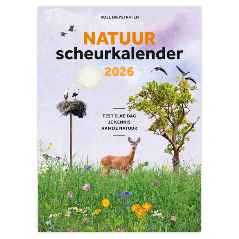 Woordzoekers scheurkalender - 2025 Kopen? ⋆ Invulboekjes.nl